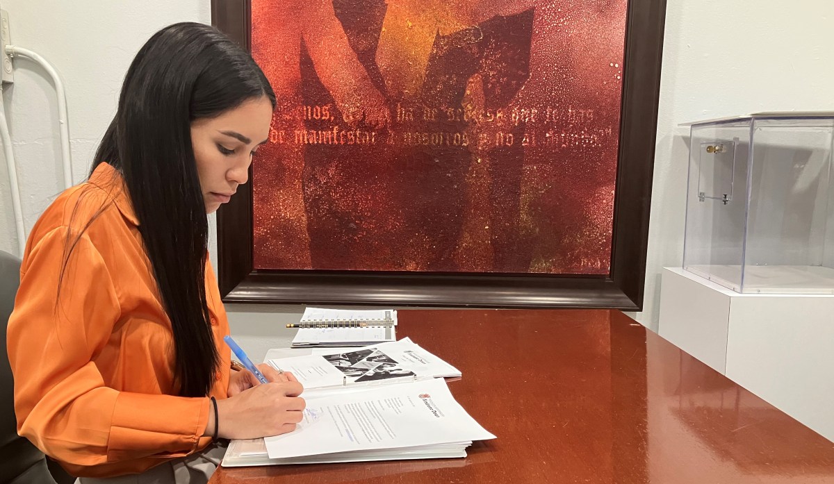 A LIDERAR CON AMPLIA VISIÓN DE DESARROLLO, NUEVA DIRECTORA EJECUTIVA ...